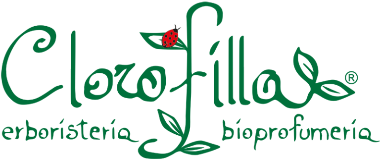 Legno di Rosa Foglia Bio Olio Essenziale 10 ml - Clorofilla Erboristeria